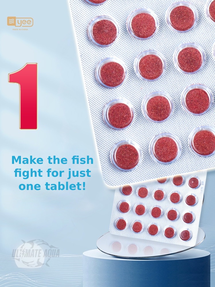 YEE Brine Shrimp, Small Fish Food, Stick-On Food Tablet, Guppy, Tetra ...