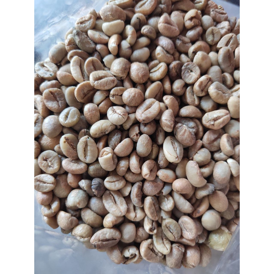 Raw Robusta Coffee Beans 1Kg | Robusta Green Bean | Shopee Singapore