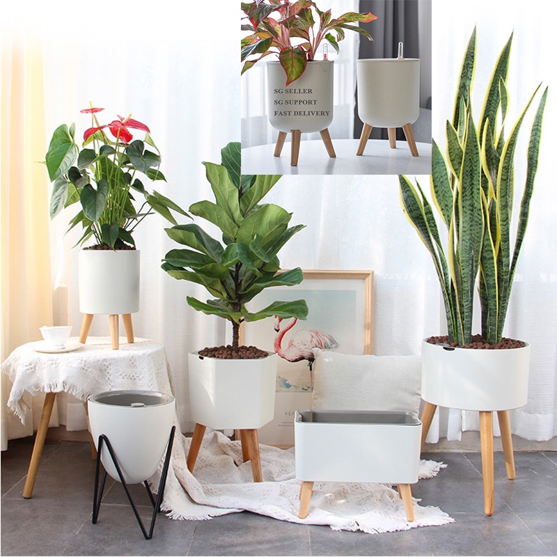 [Tripod] SG SELLER Automatic self Watering Self Absorption Table Floor ...
