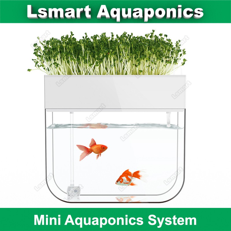Mini Aquaponics system★Fish Tank★ Aquaponics Ecosystem Small Water ...