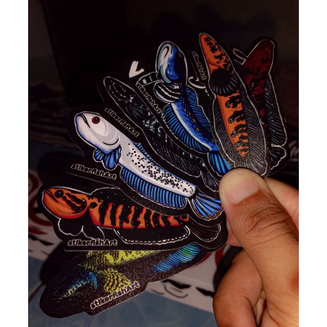 Enjoy Edition Pack Stickers | Contents 7 Seeds | Snakehead Channa ...