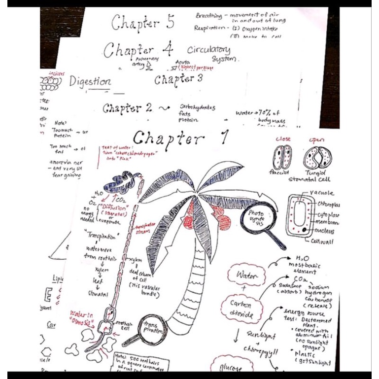[IGCSE NOTES] IGCSE Year 8 combined science notes (hard copy) | Shopee ...