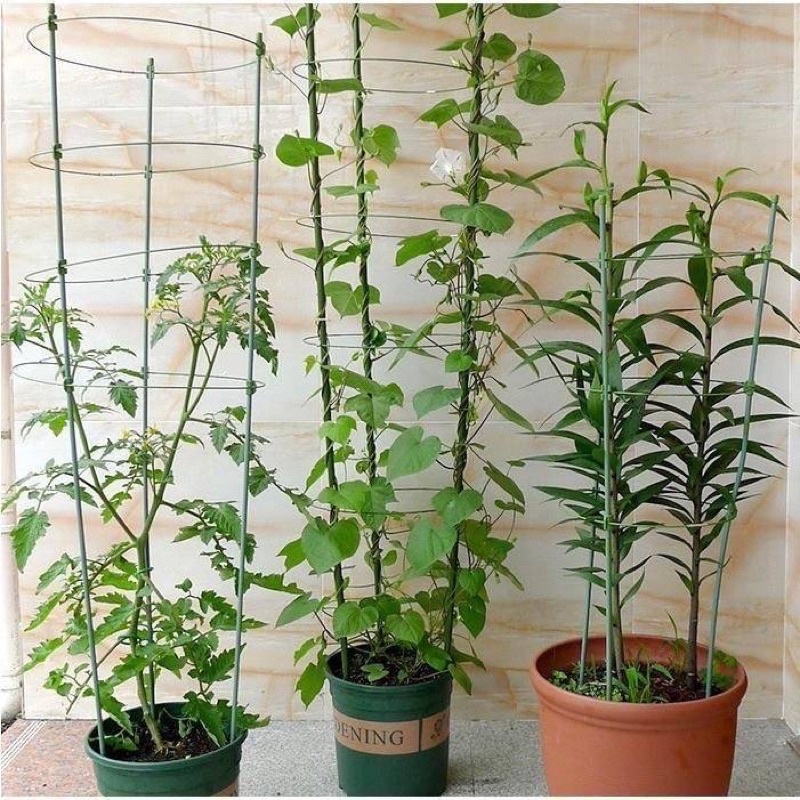 Plant Support Frame Green Agriculture Shelf Vine Climbing Rack New ...