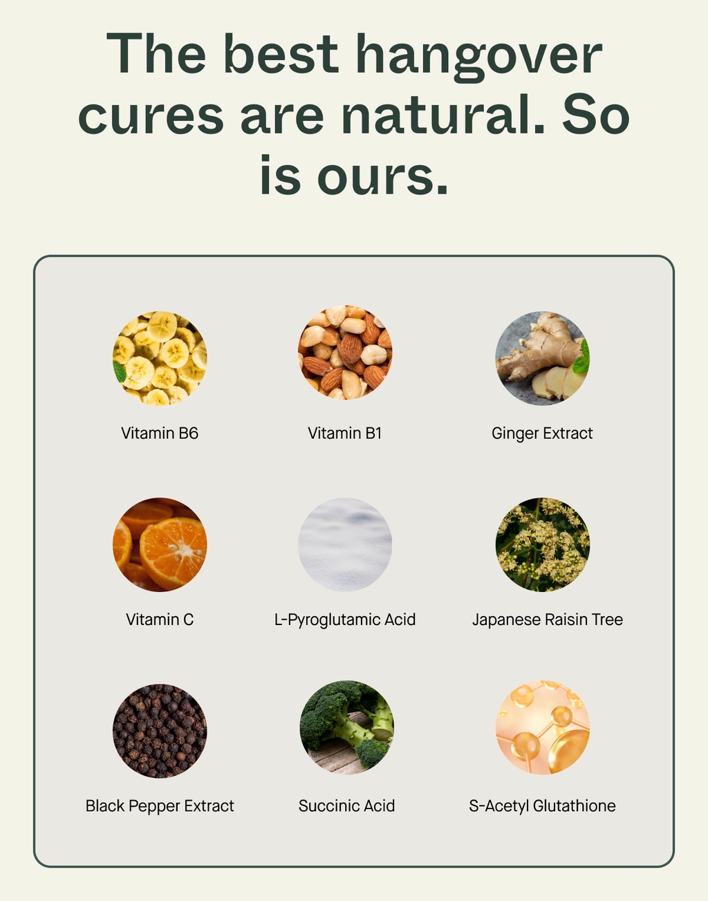 DrinkAid - Complete Alcohol Defence [Liver Detox Supplement/Hangover ...