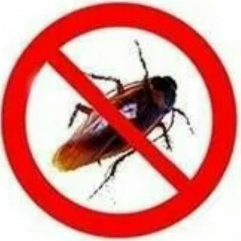 Ant+Cockroach Pesticide Chalk | Classic Solution For Ants and ...