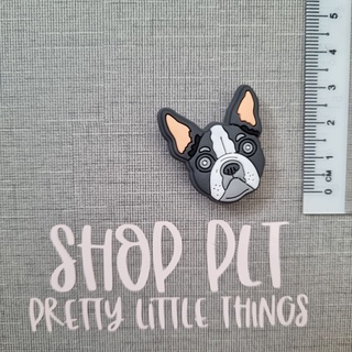 (SG) RESTOCKED! Crocs Jibbitz Unique Series Toothless Light Fury Corgi ...