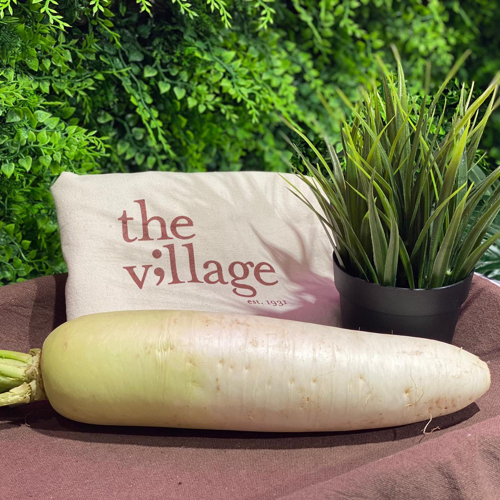 White Radish [ VG 63 ] ( 500g+/- ) | Shopee Singapore