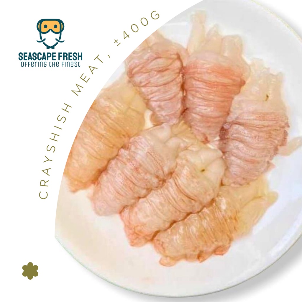 【Seafood】Slipper Lobster Meat / Crayfish Meat - Gross Weight 500g ...