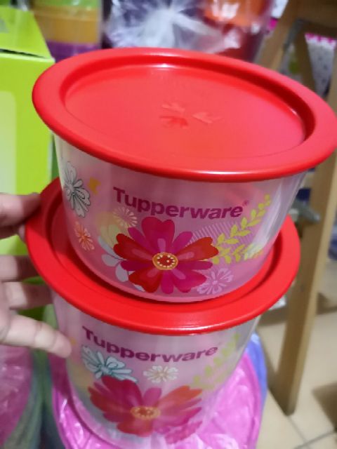 Tupperware Fortune Blooms 600ml Topper/2L Canister/ Winter wonder ...