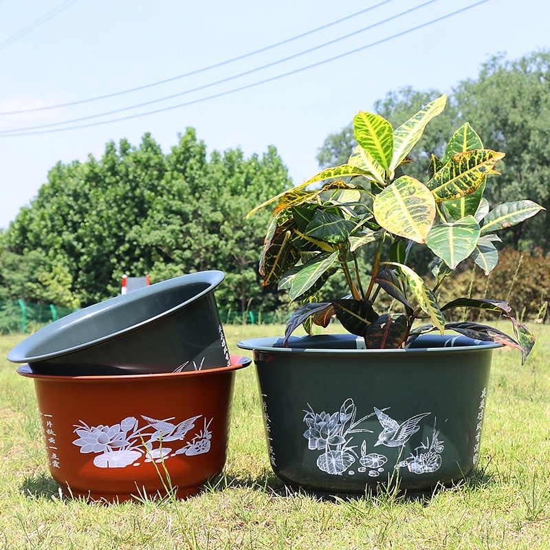 Non-Hole Lotus Flowerpot Thickened plus-Sized Plastic Flower Pot ...
