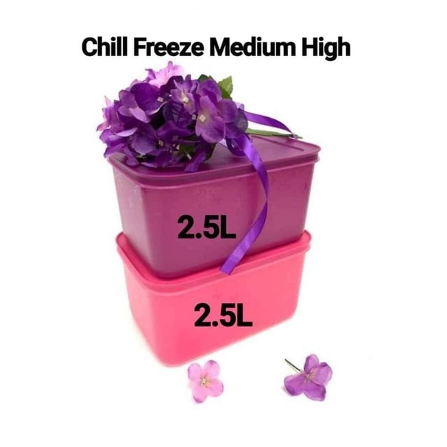 TUPPERWARE CHILL FREEZE | Shopee Singapore