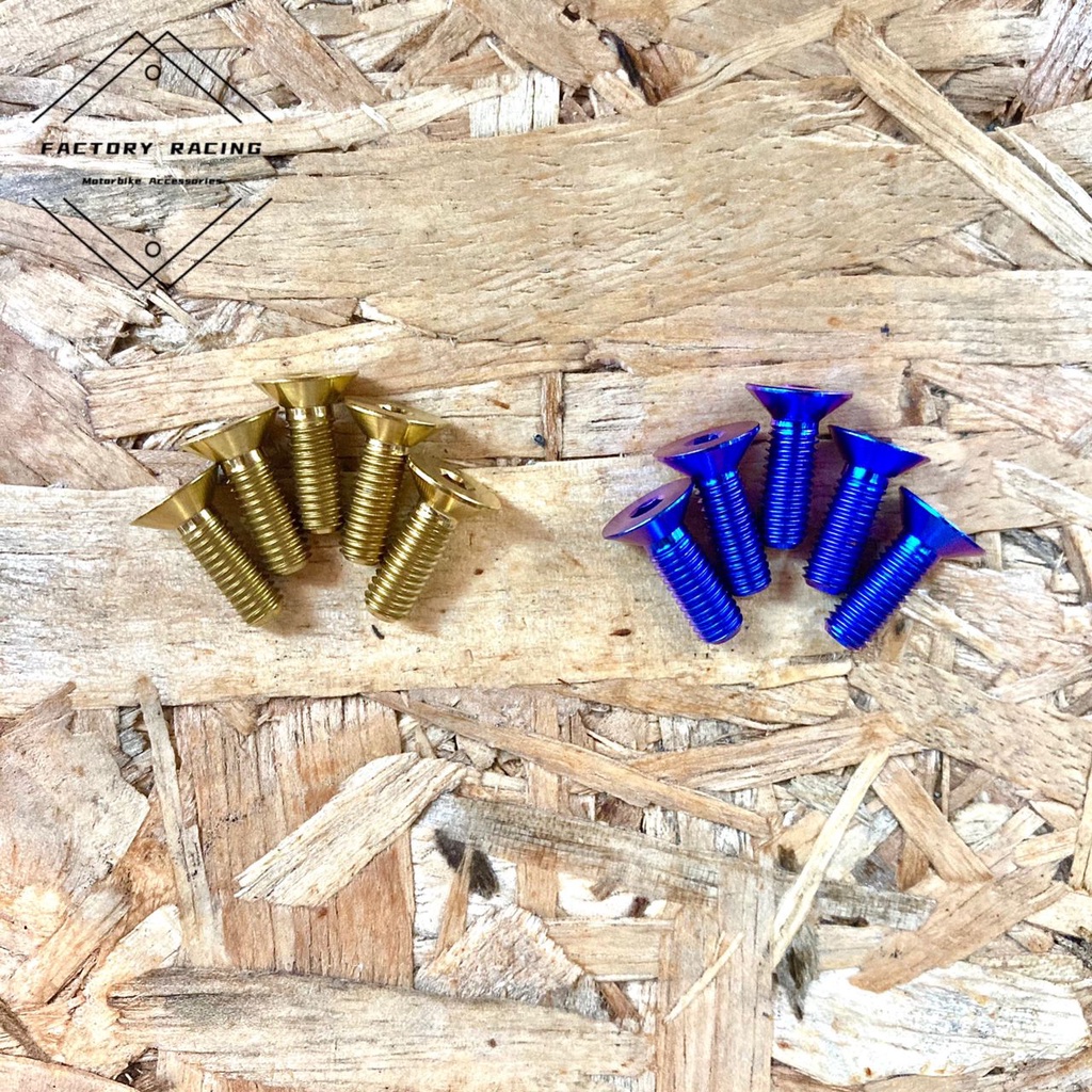 Titanium Screw Counter Sunk - M5 x 15 (1 pcs) | Shopee Singapore