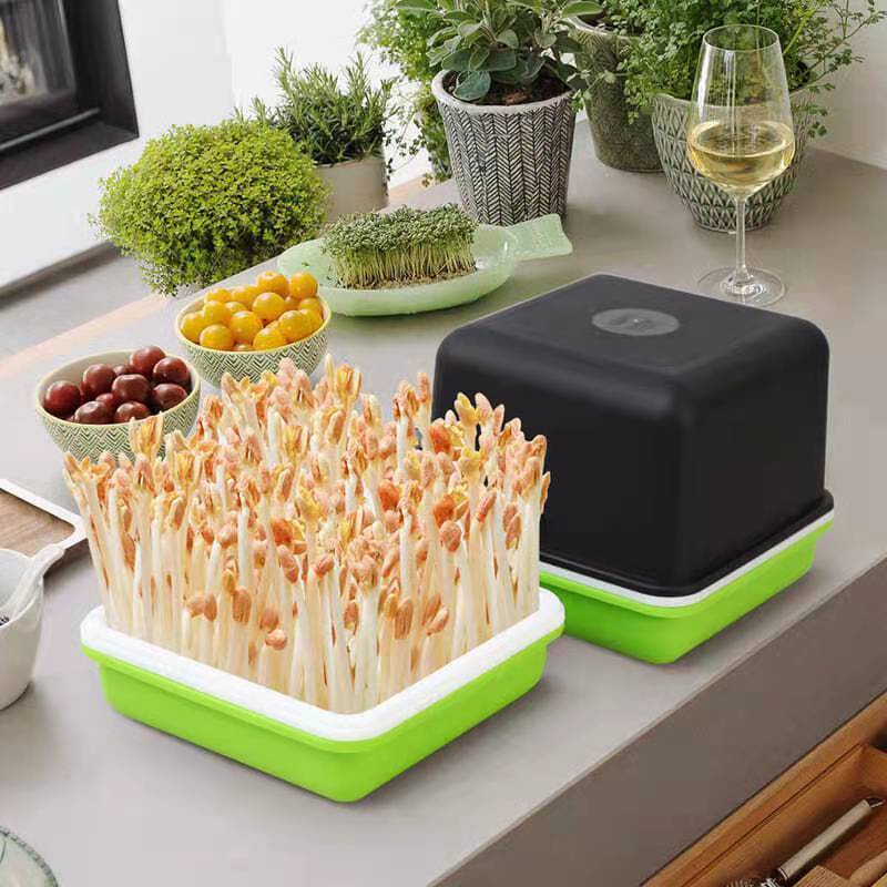 Peanut Sprout Hydroponic Box Germination Artifact Planting Plate ...
