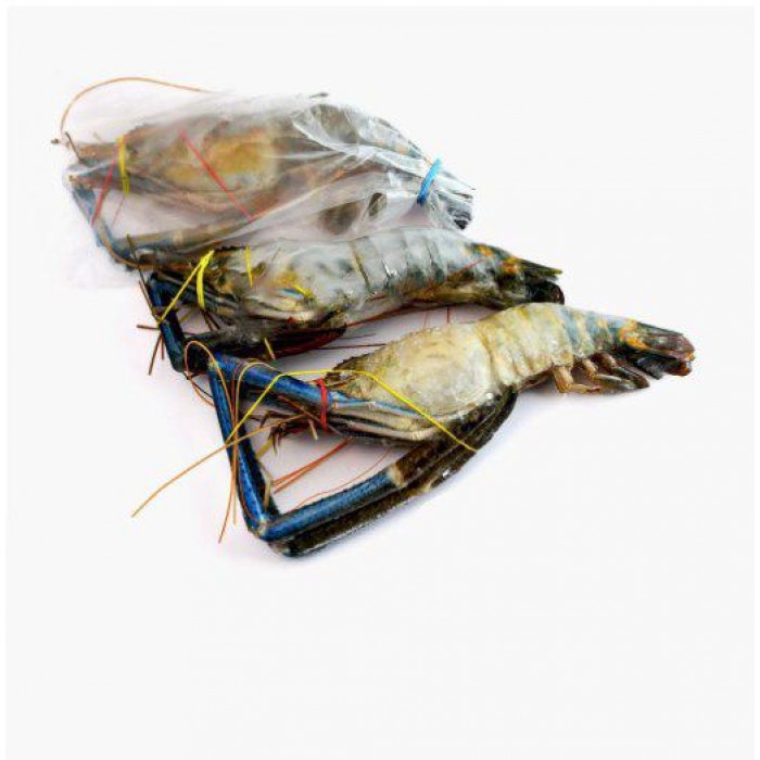 Scampi Prawn U7(1kg) (Savour Gourmet) | Shopee Singapore