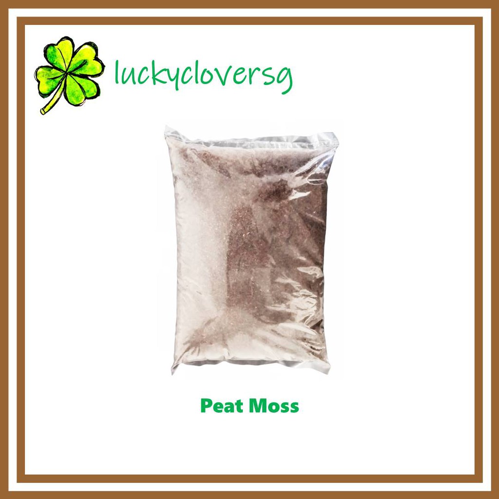 [4L, 8L] Peat Moss / Peatmoss For Planting / Gardening / Mixing Into ...
