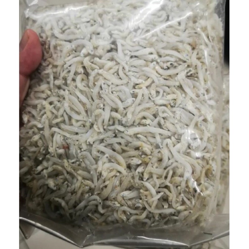 MATA 500g Blue Eye BILIS Fish Grade AAA @ BILIS Japan | Shopee Singapore