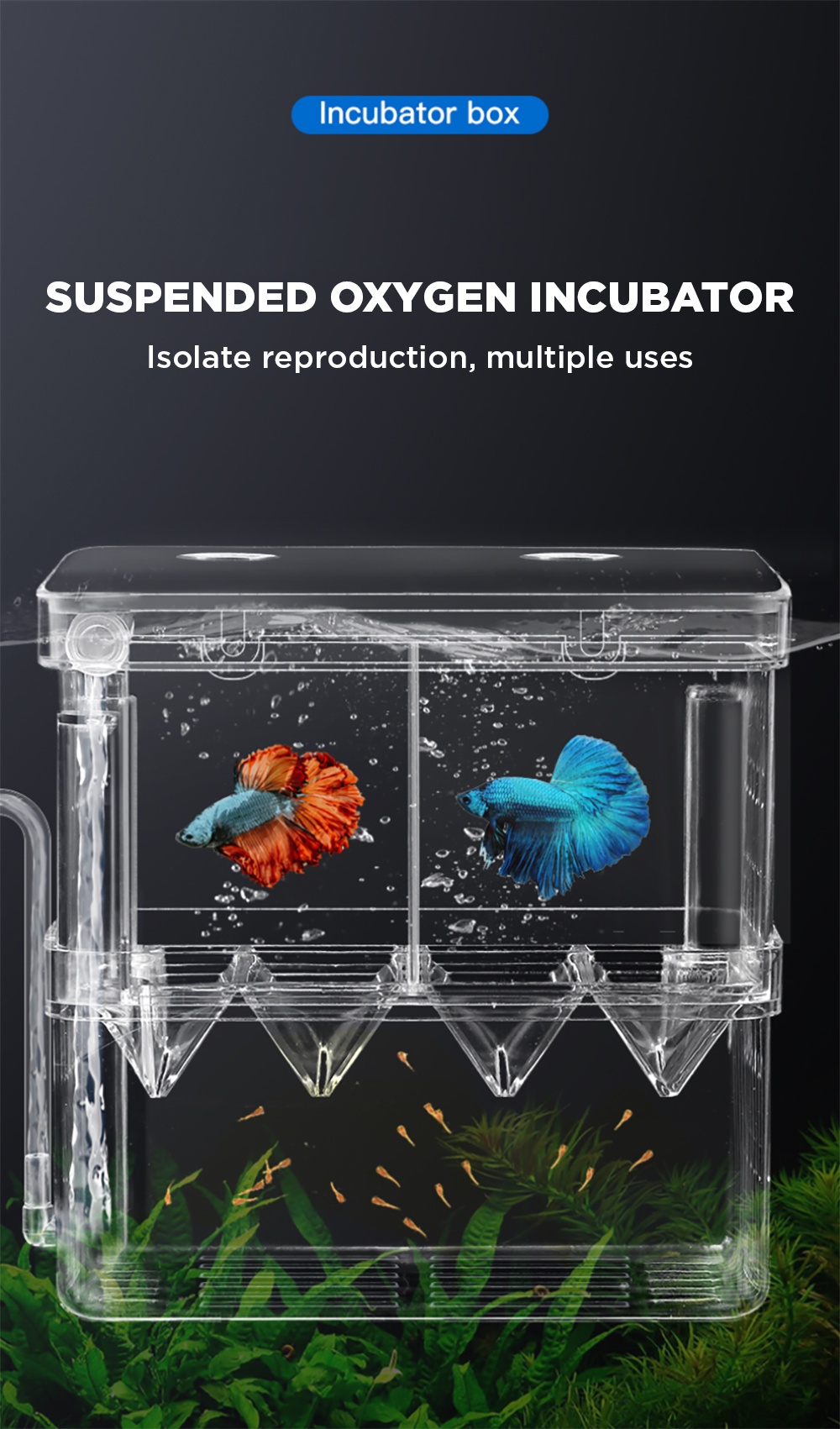 YEE Guppy Breeding Box, Aquarium Acrylic Multifunctional Incubator ...