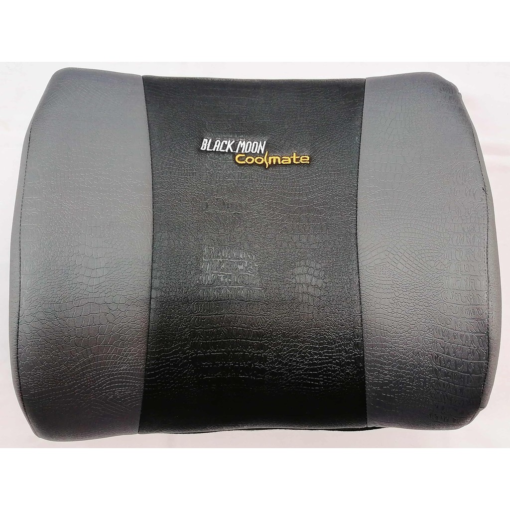 BUY 1 FREE 1 !!! Coolmate Lumbar Support / Back Support | Shopee Singapore