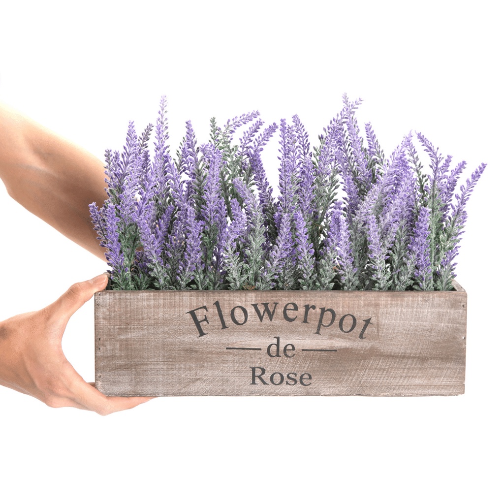 [SG Stock] 10cm Large Lavender Plant with Wooden Tray | Ramadan Home ...