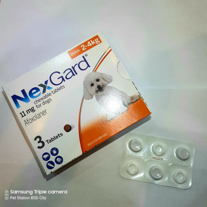Nexgard CHEWABLE TABLETS 2-4 KG - 1 Retail TABLETS | Shopee Singapore