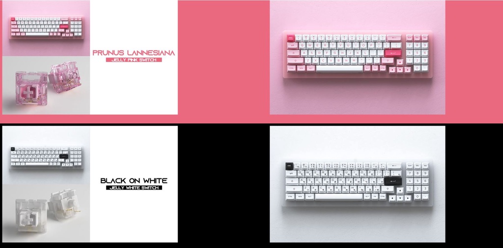 AKKO Keyboard RGB Hotswap - ACR98 Mini Combo (CS Jelly Switches) Blue ...