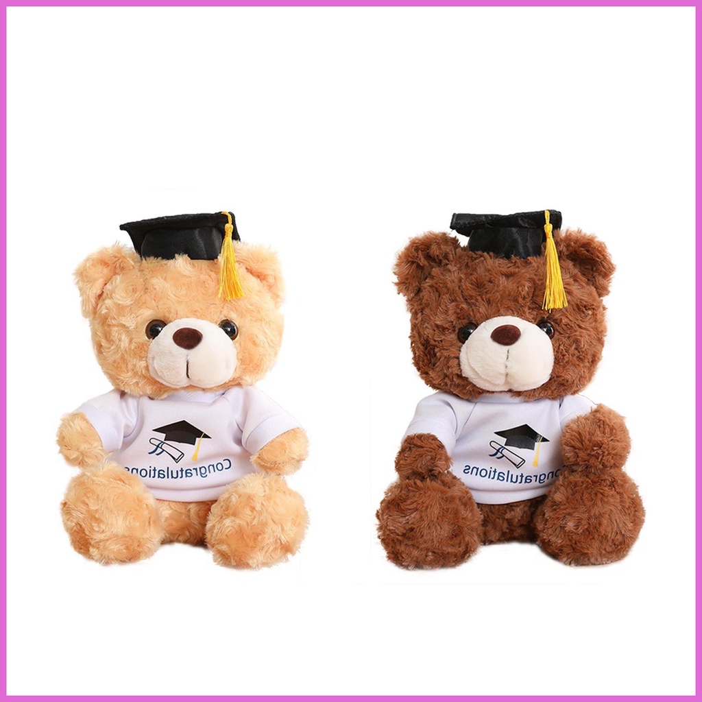 Graduation Plush Teddy Bear Graduation Teddy Bear Present Bear with Cap ...
