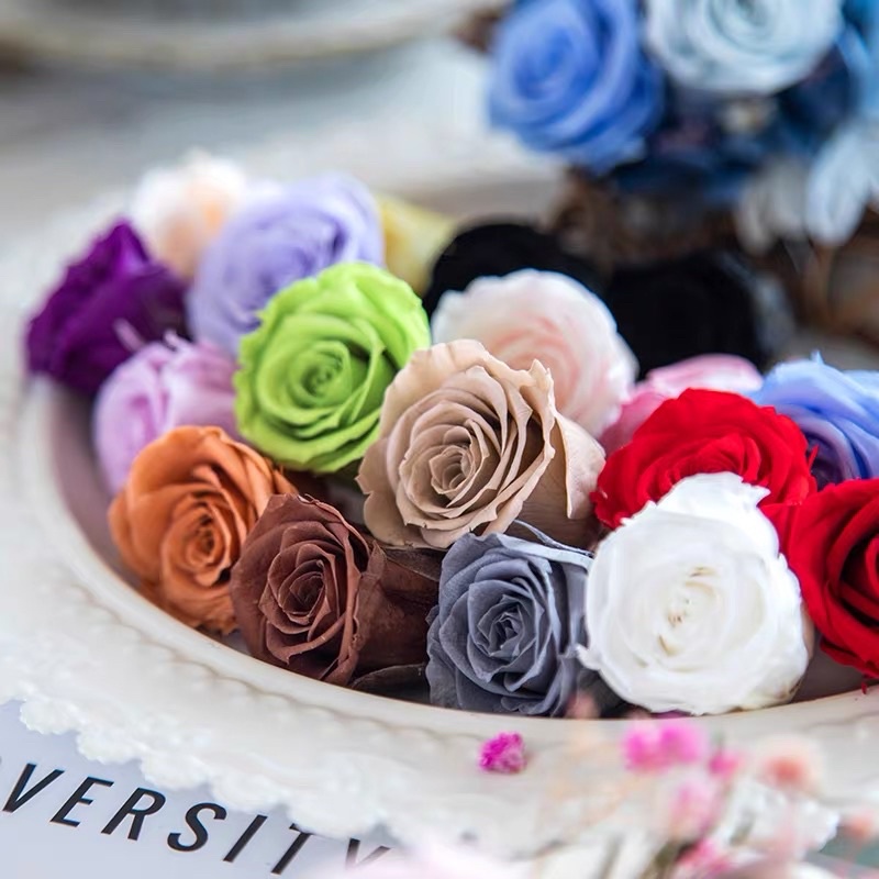 SG instocks 1 piece preserved dried longevity real Rose for craft works ...