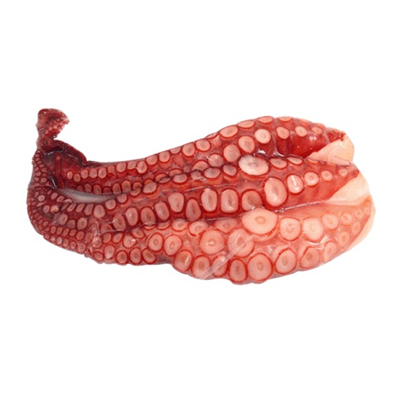 [OSE] Boiled Tako Sashimi Grade / Octopus Leg /6-10pcs/寿司章鱼爪 | Shopee ...