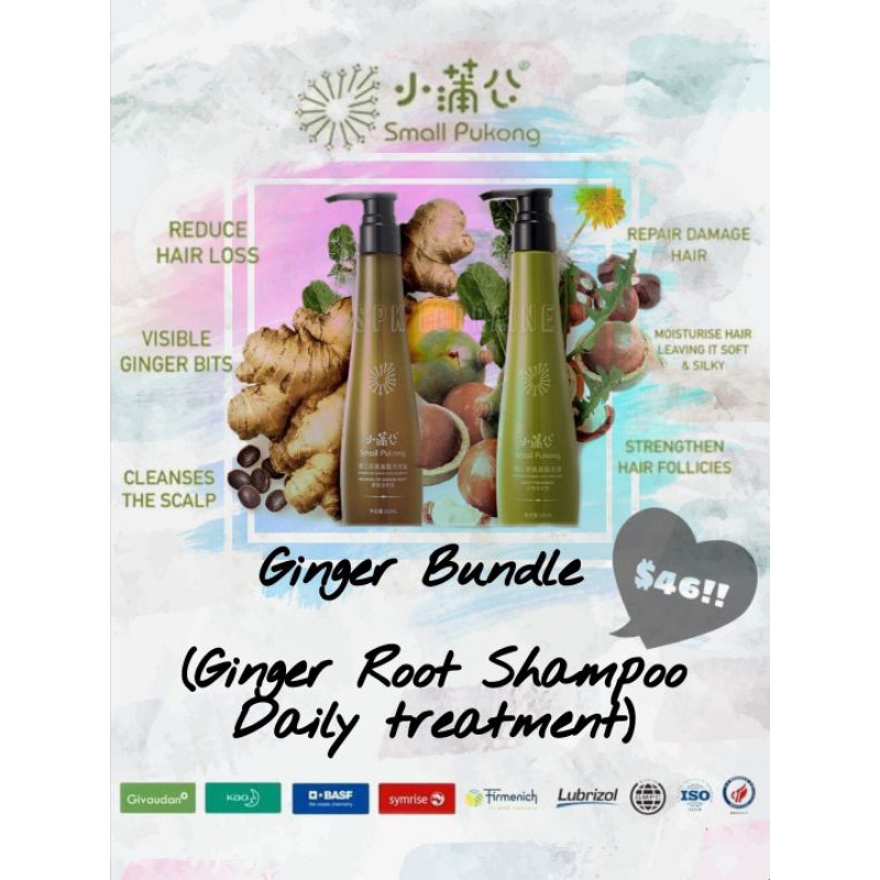 [POPULAR! READY STOCK SG!] SMALL PUKONG GINGER BUNDLE | Shopee Singapore
