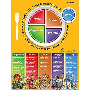 Nutrition Education MyPlate Poster FBH | Shopee Singapore