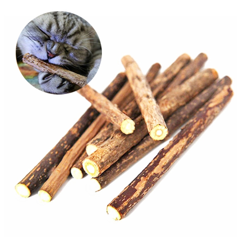 Natural Cat Catnip Stick Pet Cat Mint Snack Sticks Cat Tooth Chew ...