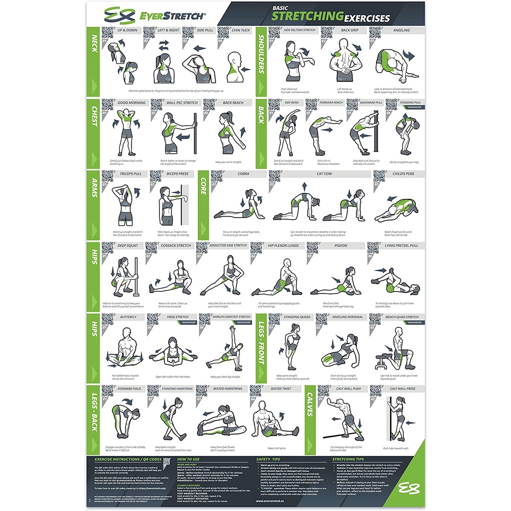 Basic Stretching Poster for Home Gym x Laminated Workout Poster with ...
