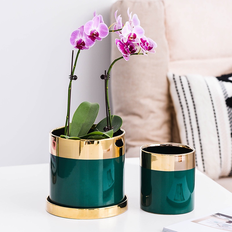 Luxury Plant Pot With Gold Base | Plant Pot | Material: Ceramic ...