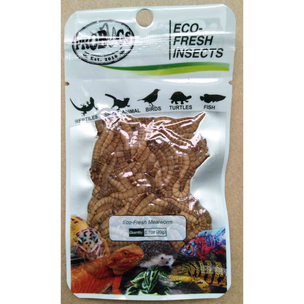 Probugs Eco-fresh Mealworm (10pkt per box) | Shopee Singapore