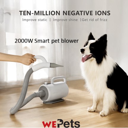 Smart Pets Blower Machine High-power 2000W Fast Fur Dryer For Dogs/Cats ...