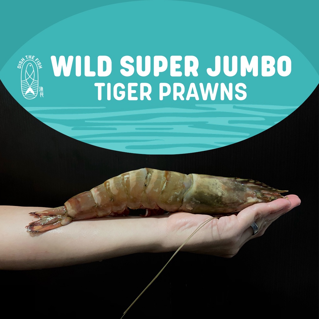 Dish The Fish Jumbo Wild Tiger Prawns (About 1 kg) | Shopee Singapore