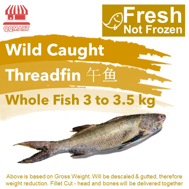 QQMart Fresh Seafood - Fresh Wild Caught Threadfin 午鱼 Whole Fish ...