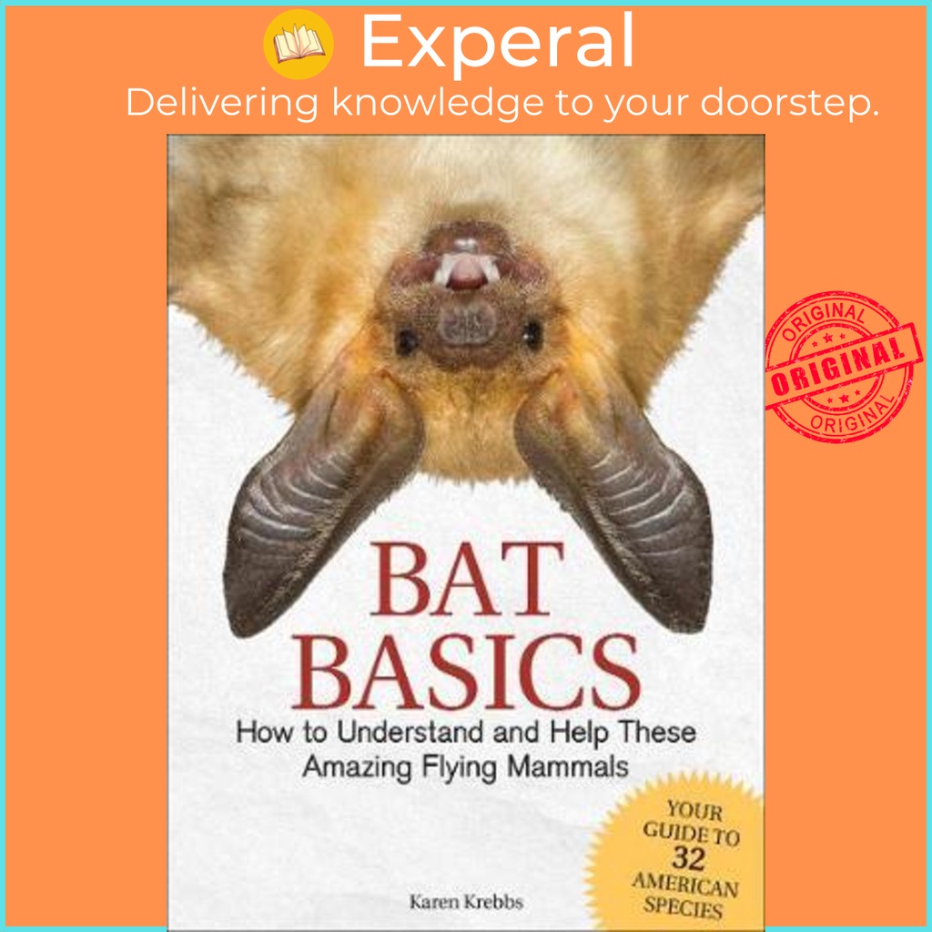 Bat Basics : How to Understand and Help These Amazing Flying Mammals by ...