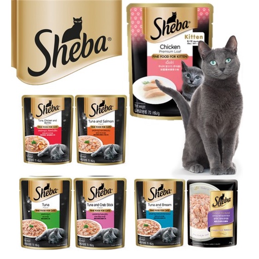 [Bundle 12/24] SG Seller | Sheba Pouch Wet Cat Kitten Food, 70g ...
