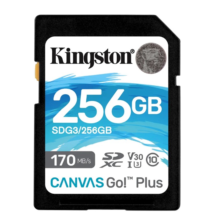 KINGSTON 256 GB SD CARD (SD CARD) CANVAS GO PLUS (SDG3/256GB) | Shopee ...