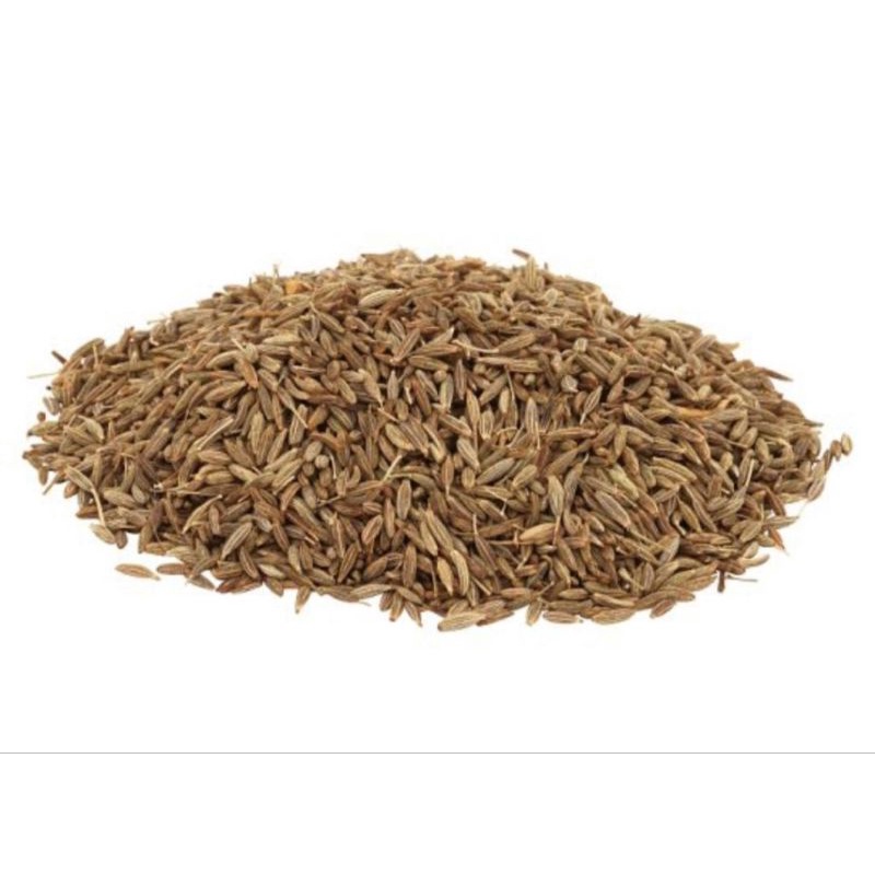 PUTIH White CUMIN SEEDS/ CHINNA SEAGAM /REMPAH RATUS(50G,100G,300G ...