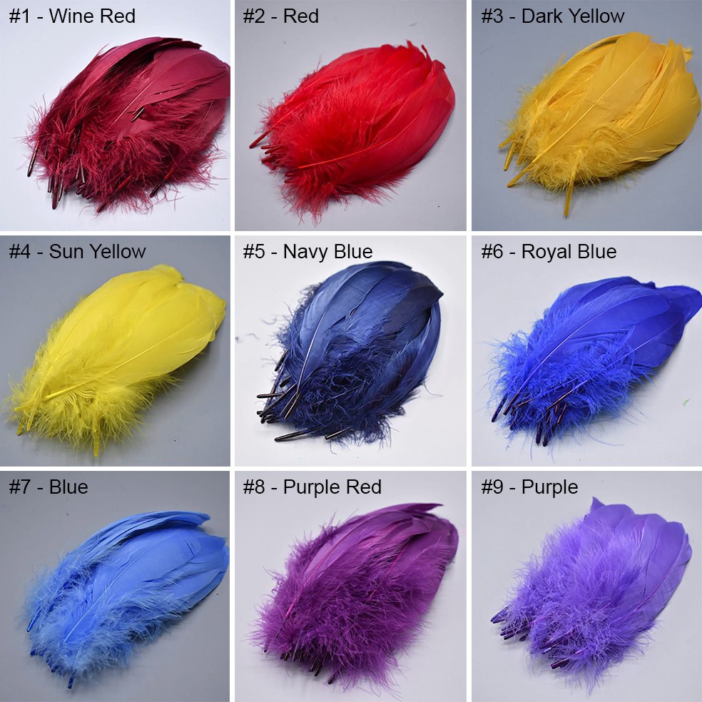 25pcs Straight Goose Feather | Shopee Singapore