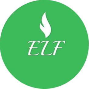 elf - Prices and Deals - Nov 2024 | Shopee Singapore