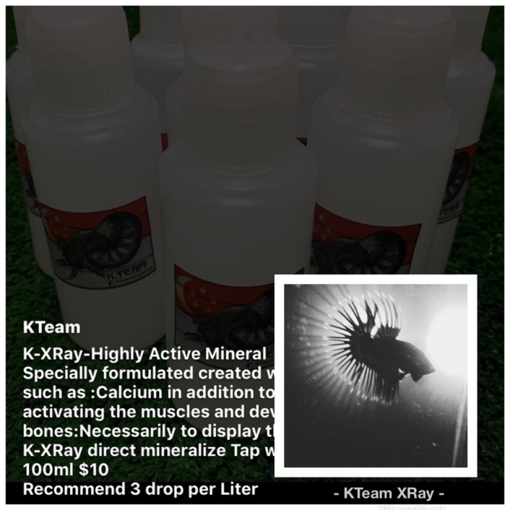 KTeam Betta Fish Highly Active Mineral Calcium for Stronger Ray K-XRay ...