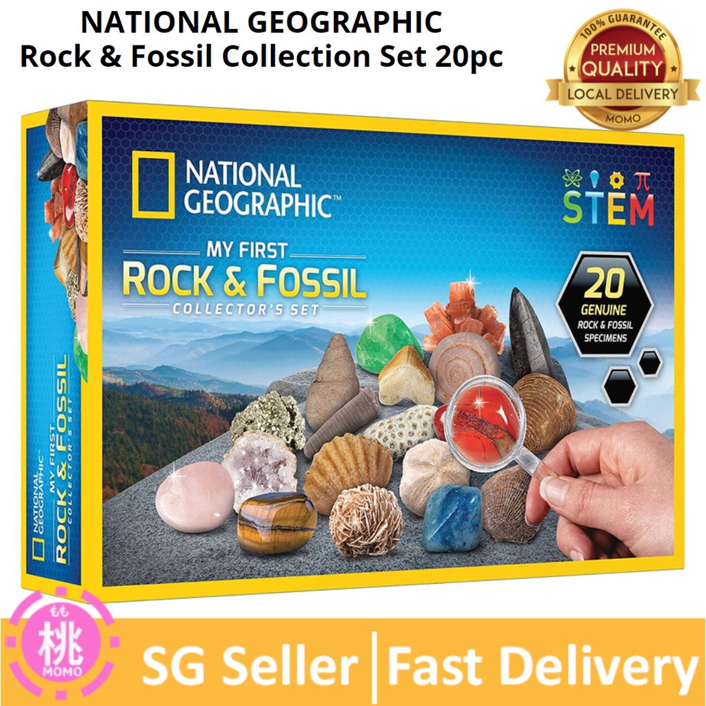 NATIONAL GEOGRAPHIC Rock & Fossil Collection - Rock Collection for Kids ...
