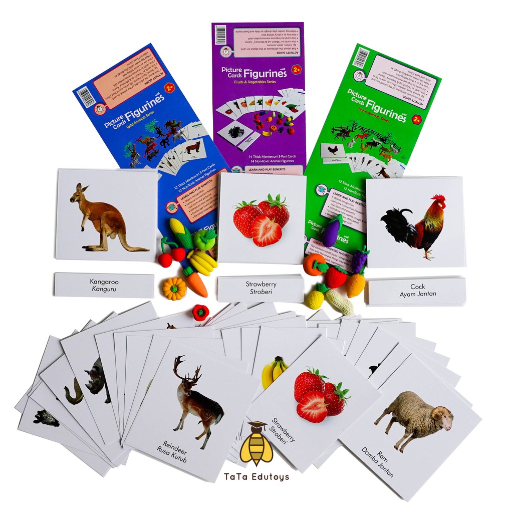Figurine & Flashcard - Bundle 3 boxes Animal and Fruit Flash Cards ...