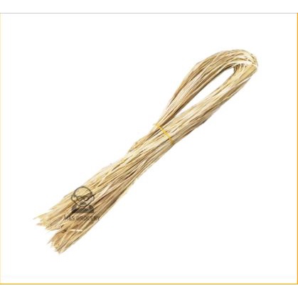 粽子绳ZongZi | Dumpling String from nature- Hand Pluck-Sundreid Local ...