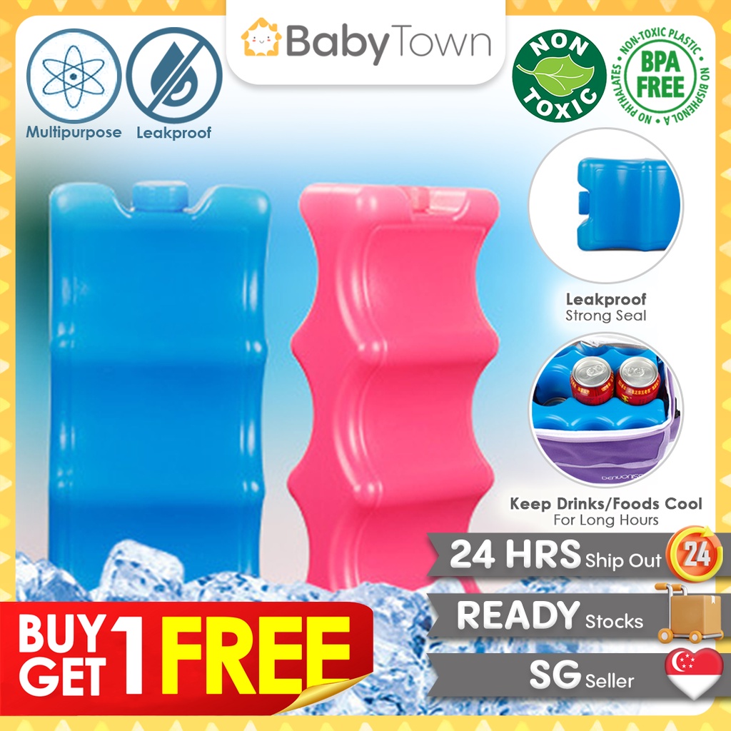 *BUY 1 FREE 1* REUSABLE ICE PACK FOR COOLER BAG | BREAST MILK STORAGE ...