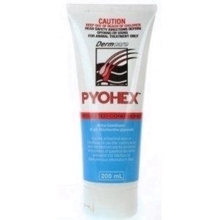 Dermcare Pyohex conditioner | Shopee Singapore