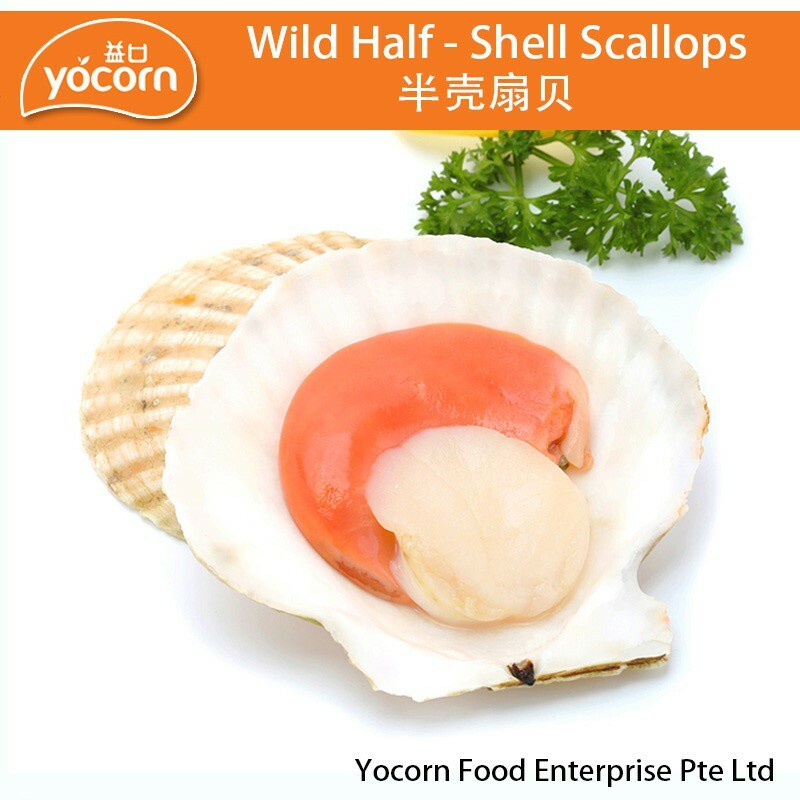 [YOCORN] Natural Wild Half-Shell Scallop (1KG/PKT) 半壳扇贝 - Frozen ...